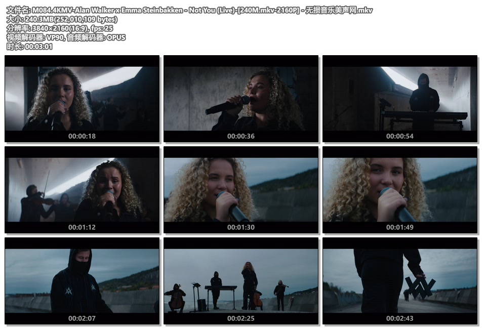 4KMV-Alan Walker x Emma Steinbakken - Not You (Live)-[240M.mkv-2160P ...